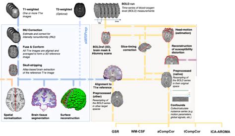 Summary Of Preprocessing Steps Download Scientific