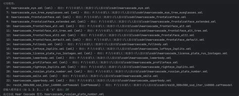 基于 opencv 的人脸检测模型对比实践（附项目文件开箱即用） opencv 训练好的人脸检测模型 csdn博客
