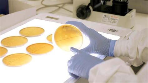 Secrets Of Strep A Virulence Revealed Technology Networks