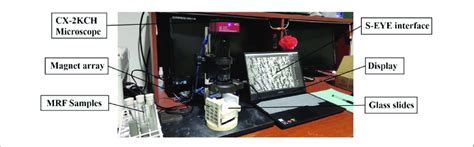 Microscopic Chaining Process Observation System Download Scientific Diagram