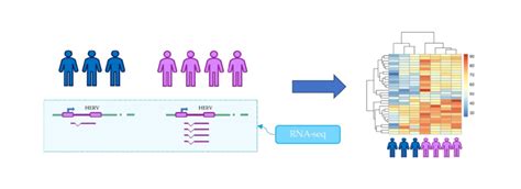 example of possible application of high throughput sequencing for the download scientific