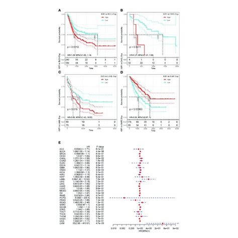 Selected Kaplan Meier Plots And Forest Plot Comparing The High And Download Scientific