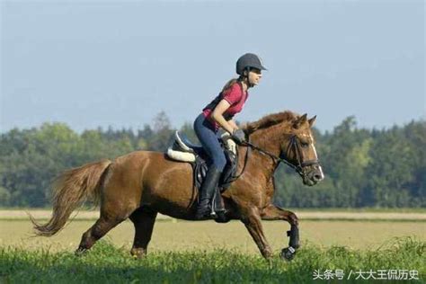千古絕對！上聯：「兩口子騎一馬，多難受」 下聯太經典了 每日頭條