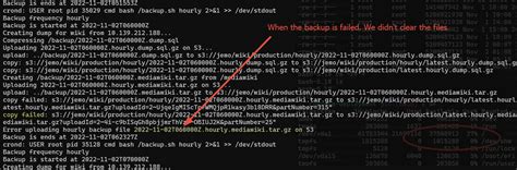 Clear Backup Folder Inside The Container To Keep Storage In Check