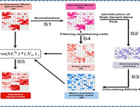 Seuratextend Streamlining Single Cell Rna Seq Analysis Through An