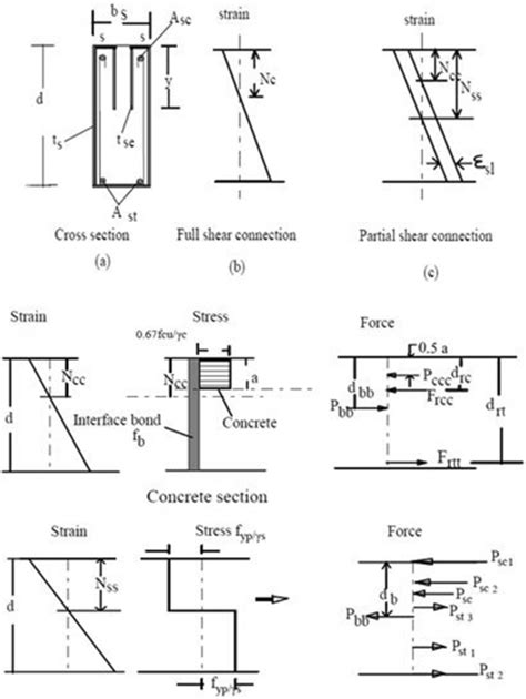 Free Body Diagram Strain And Equivalent Stress Blocks At The Ultimate