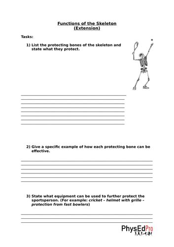 Gcse Pe Skeleton Skeletal System Unit Of Work Worksheet
