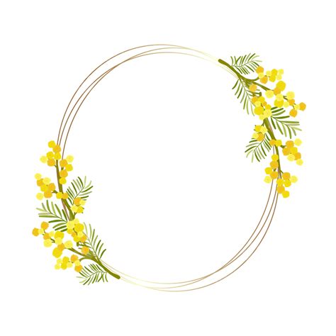 노란색 미모사 꽃과 꽃 프레임 벡터 미모사 꽃 노란 꽃 미모사 Png 일러스트 및 벡터 에 대한 무료 다운로드 Pngtree