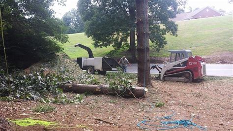Tree Limb Removal Services Tree Service B B Tree Company Stump Removal