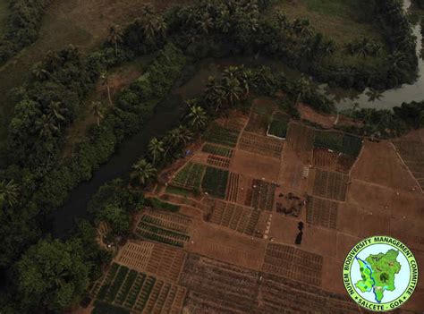 Goan FPV