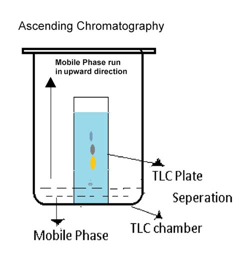 Paper Chromatography Principle Procedure Types And