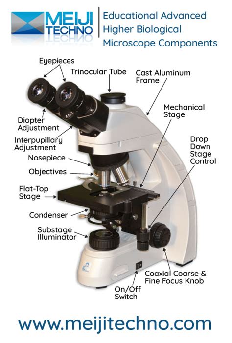 Microscope Terminology
