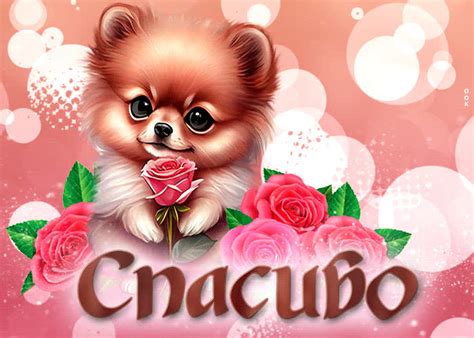 Виртуальная открытка Спасибо С собачкой и розами Скачать бесплатно на