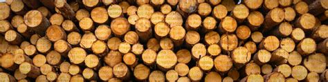 Logging Yves Blog