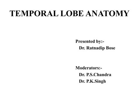 Temporal Lobe Anatomy Presentation