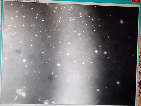 After G Actin Polymerization And Labelling I Didnt Got Filaments Why Researchgate