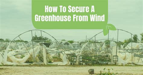 How To Secure A Greenhouse From Wind Expert Tips