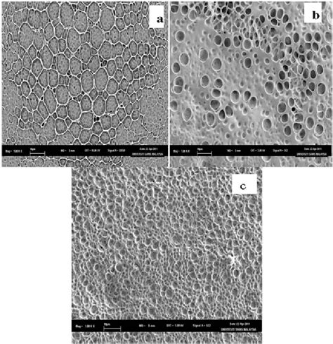 Table 1 From Flow Injection Analysis Of Mercury Using 4 Dimethylamino Benzaldehyde 4