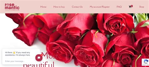 wordpress website design next coderz