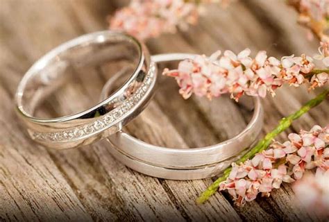 زن آمریکایی پس از دلدادگی و تجربه بی‌نظیر ۲ ساله با الاغش ازدواج کرد عکس