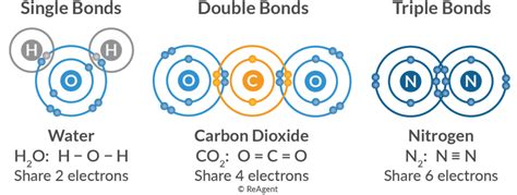 Nature Covalent Bond Infographic Diagram Showing Examples 57 OFF