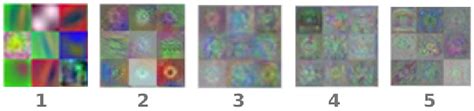 Example Of 9 Filters From The Five Convolutional Layers Of The Trained Download Scientific