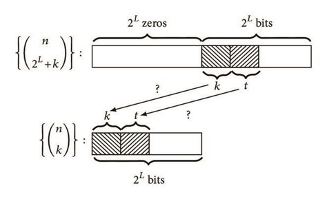 Structure Of The Binomial Sequences Nk And N2lk Download Scientific