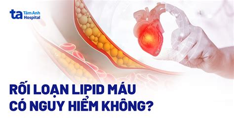Rối loạn lipid máu là gì Nguyên nhân triệu chứng và phòng ngừa