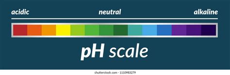 Ph Scalevector Illustration Colorful Graph Test Stock Vector Royalty Free