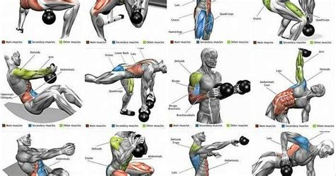 Gym Exercises Compilation Album On Imgur