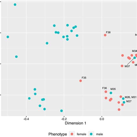 Primer Locations To Amplify 61 Sex Associated Snps On Chromosome 24