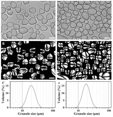 Molecules Special Issue Polysaccharide Based Materials