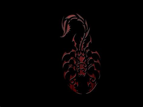 Scorpio Anime Wallpapers Wallpaper Cave