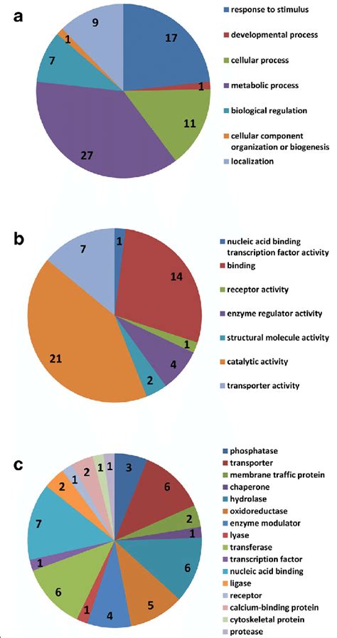 Functional Classification Of Annotated Candidate Genes Delimited By