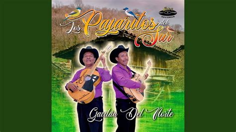 Me Vale Ver Youtube Music