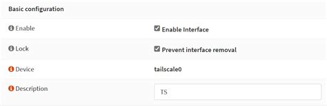 How To Set Up Tailscale On OPNsense WunderTech