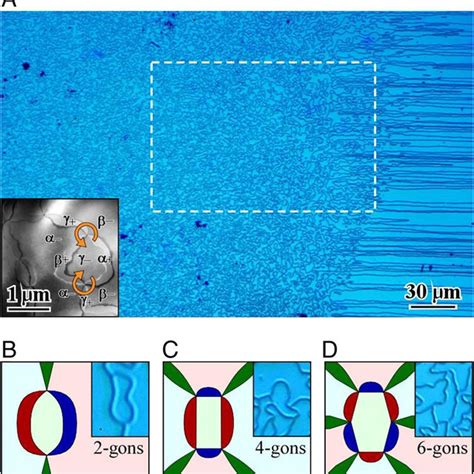 Various Configurations Of Nanoscale Topological Vortices And Download Scientific Diagram