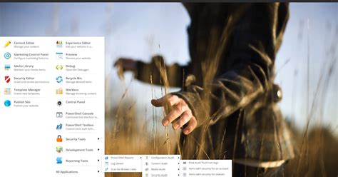 how to provide sitecore non administrator user the capability to unlock