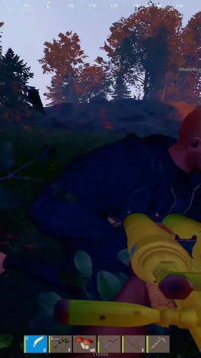 Grabbed Bro From The Bush In Rust Rust Rustgame Rustgameplay Rustpc