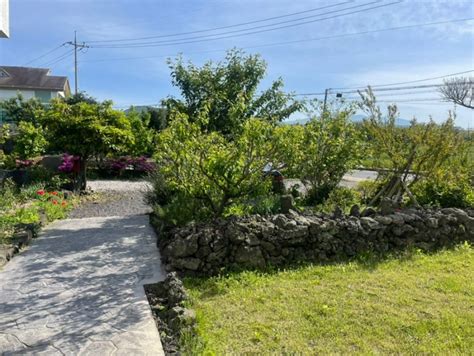 제주 에코랜드 테마파크 기차 여행 Ft 입장료 시간 네이버 블로그