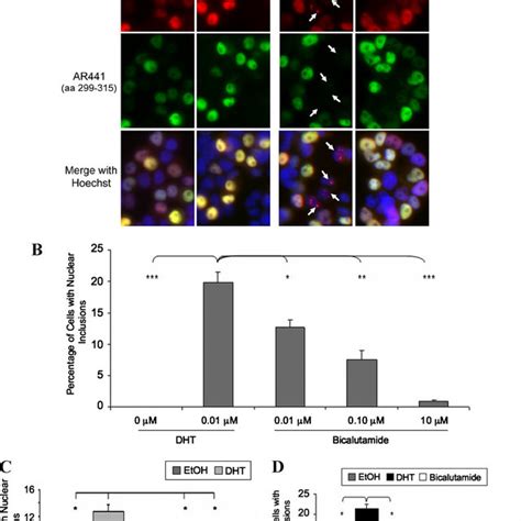 Nadh Staining Reveals Expected Pathology In Adult Edl Of Download