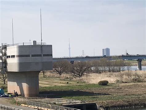 熟年初心者が走ってみた⑤UP RUN松戸江戸川河川敷マラソン大会 LAWSON DO SPORTS