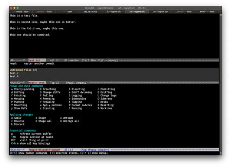 Emacs 10 版本控制：emacs 的 Git 介面 Magit — 1 By Jerry Hsieh Medium