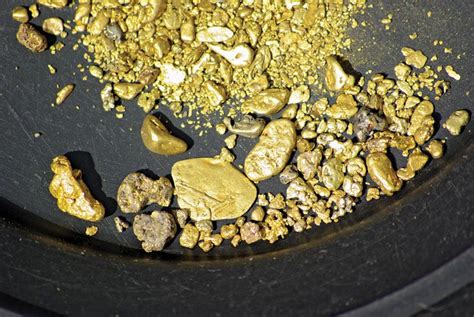 Nugget Gold Prospecting Panning And Refining Britannica