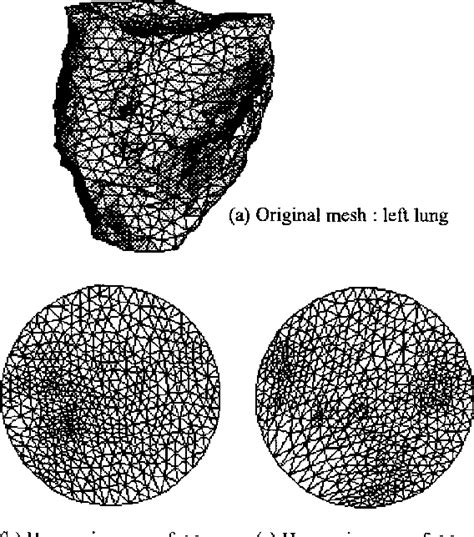 Figure 1 From Adaptive Wavelets Based Multiresolution Modeling Of