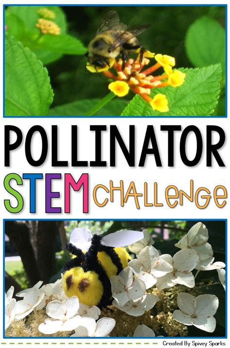 Pollinator Stem Challenge Seed Dispersal Engineering Design Process