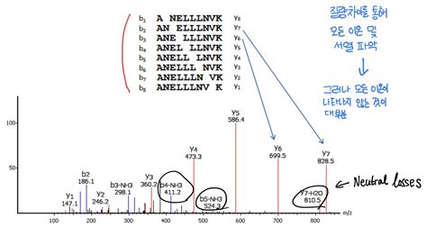 Proteomics Peptide Identification De Novo Sequencing Sehoons Workspace