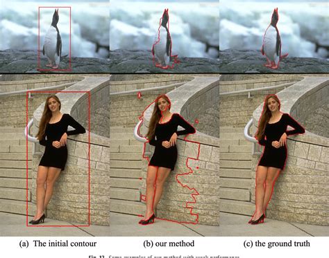 Figure 1 From Image Segmentation Using The Level Set And Improved Variation Smoothing Semantic