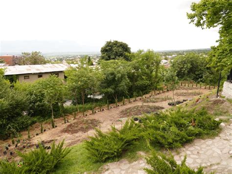 თელავის მუნიციპალიტეტის თელავის მუნიციპალიტეტის მერია