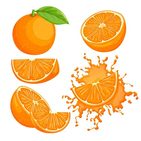 Premium Vector Orange Fruit Set Cartoon Vector Illustration